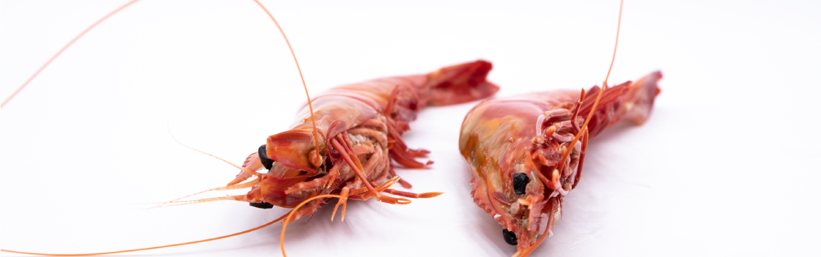 Marisco a Domicilio - Marisco cocido|Romerijo